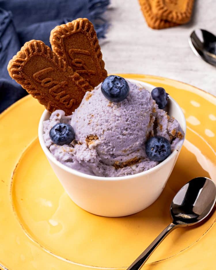 Homemade Blueberry Cheesecake Gelato Recipe - Cooking With Wine Blog